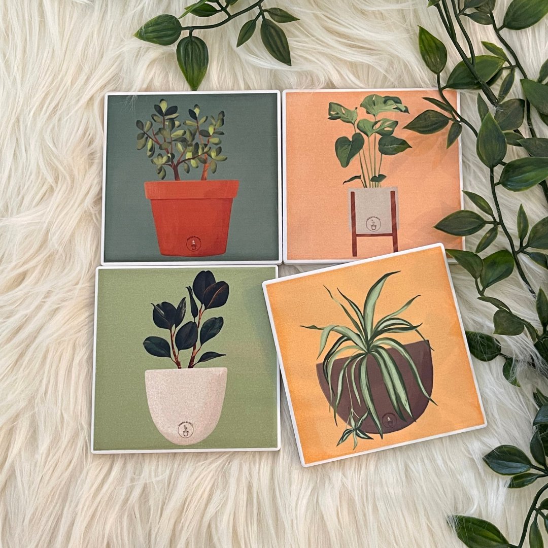 Ceramic Potted Plant Coasters – PEACHI PLANTS