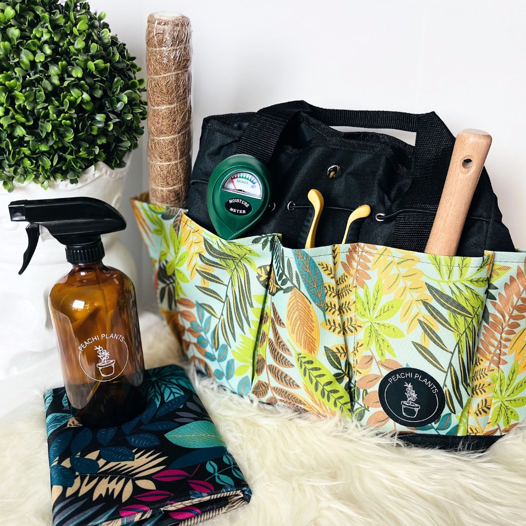 Plant Parent Starter Kit – All-in-One Houseplant Care Set – PEACHI PLANTS