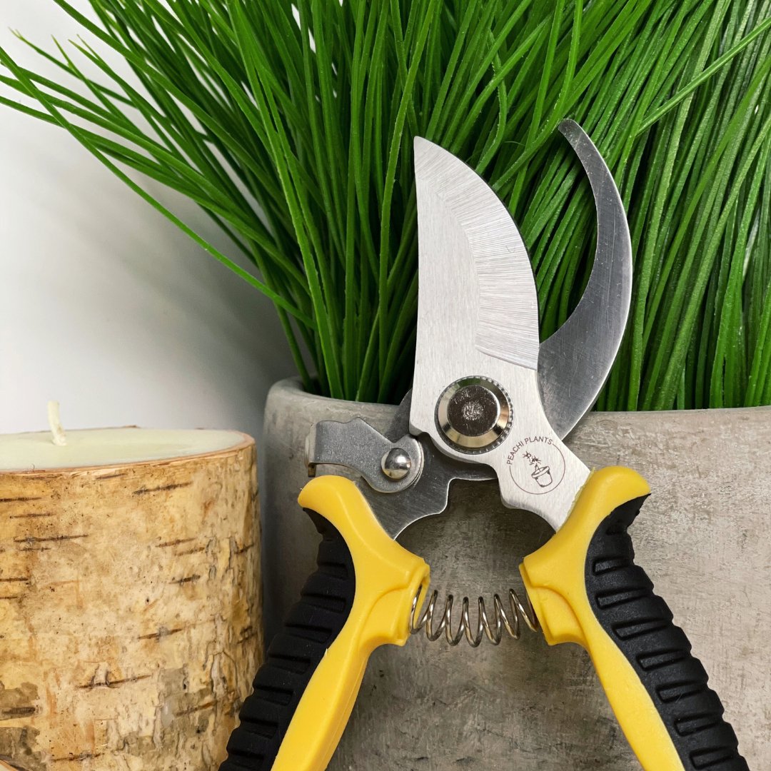 Pruning Shears – Precision Garden & Plant Trimming Tool – PEACHI PLANTS